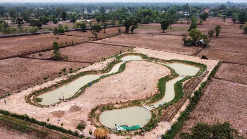 Khok-Nong-Na Model - Farang Farm